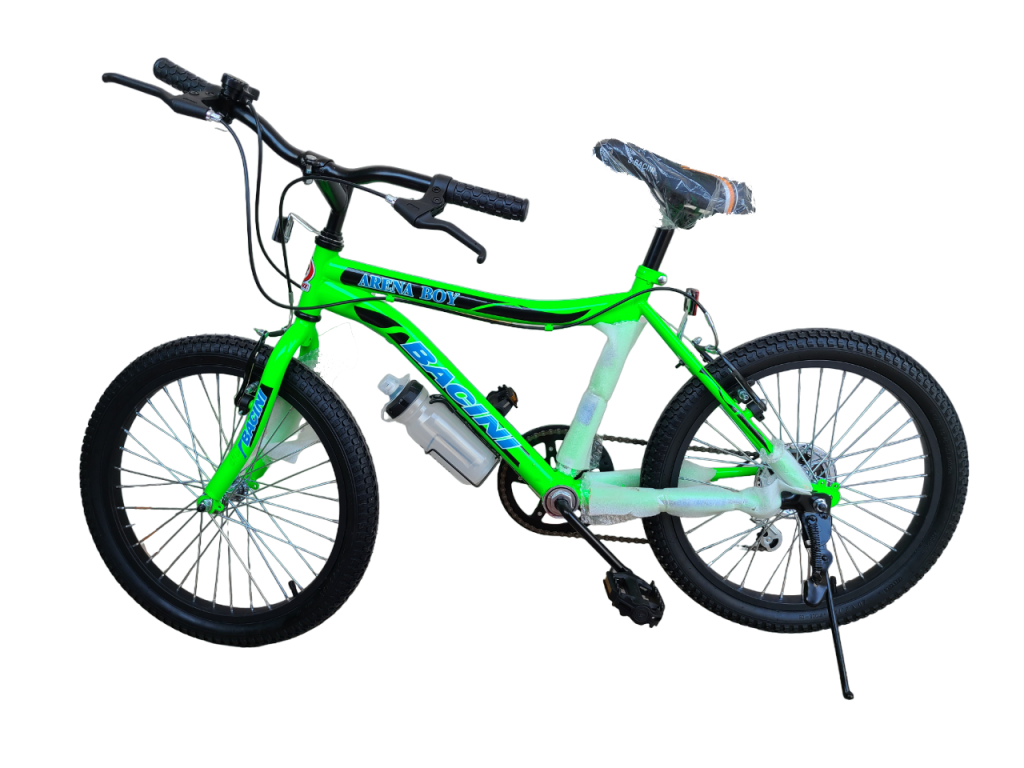 BICICLETA BACINI #20 ARENA BOY – Comercial Emanuel