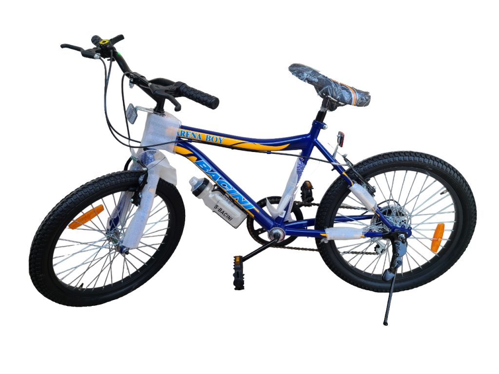 BICICLETA BACINI #20 ARENA BOY – Comercial Emanuel