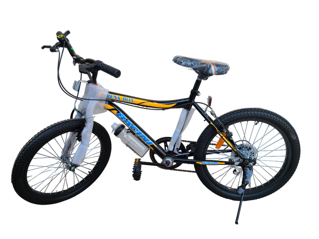 BICICLETA BACINI #20 ARENA BOY – Comercial Emanuel