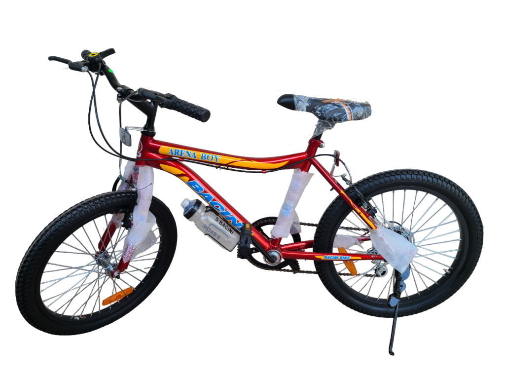 BICICLETA BACINI #20 ARENA BOY – Comercial Emanuel